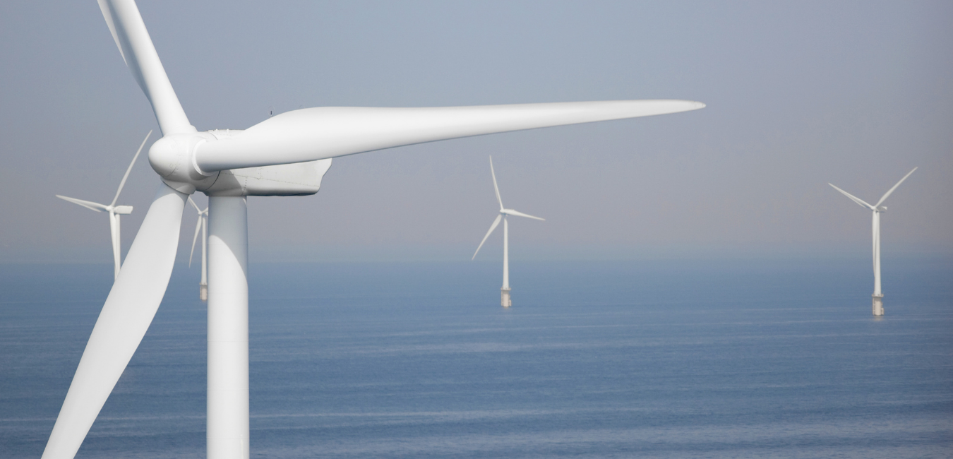 EDR’s OSW Team Celebrates a Whirlwind Year - Environmental Design ...